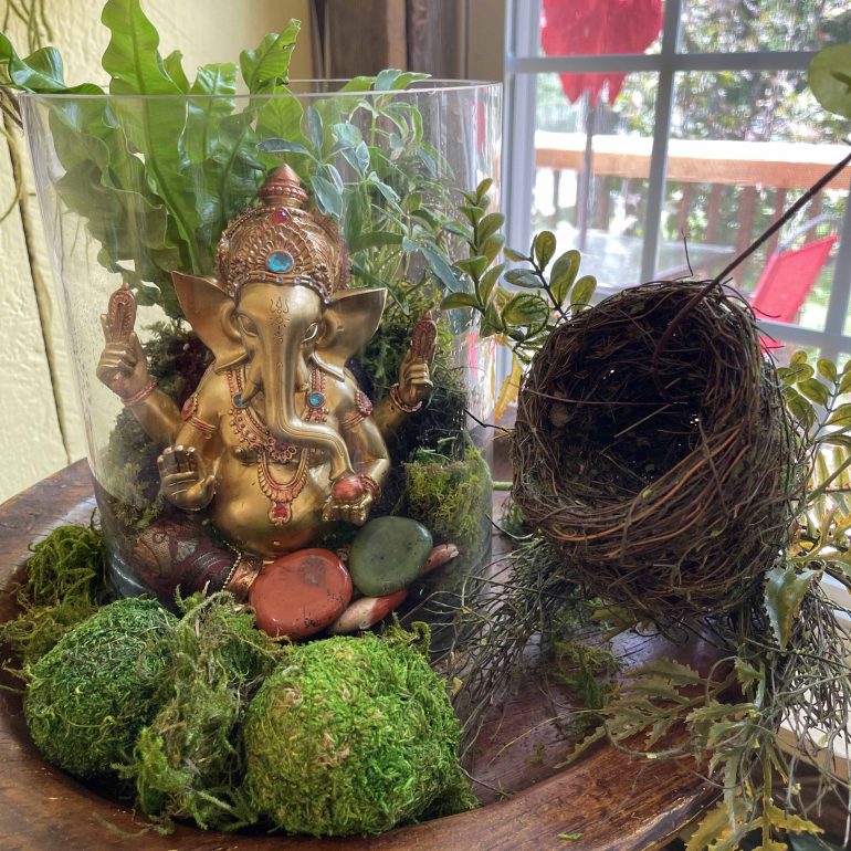 Fancy Plants Terrariums | Glass Garden Gifts | Workshops - Fancy Plants LLC